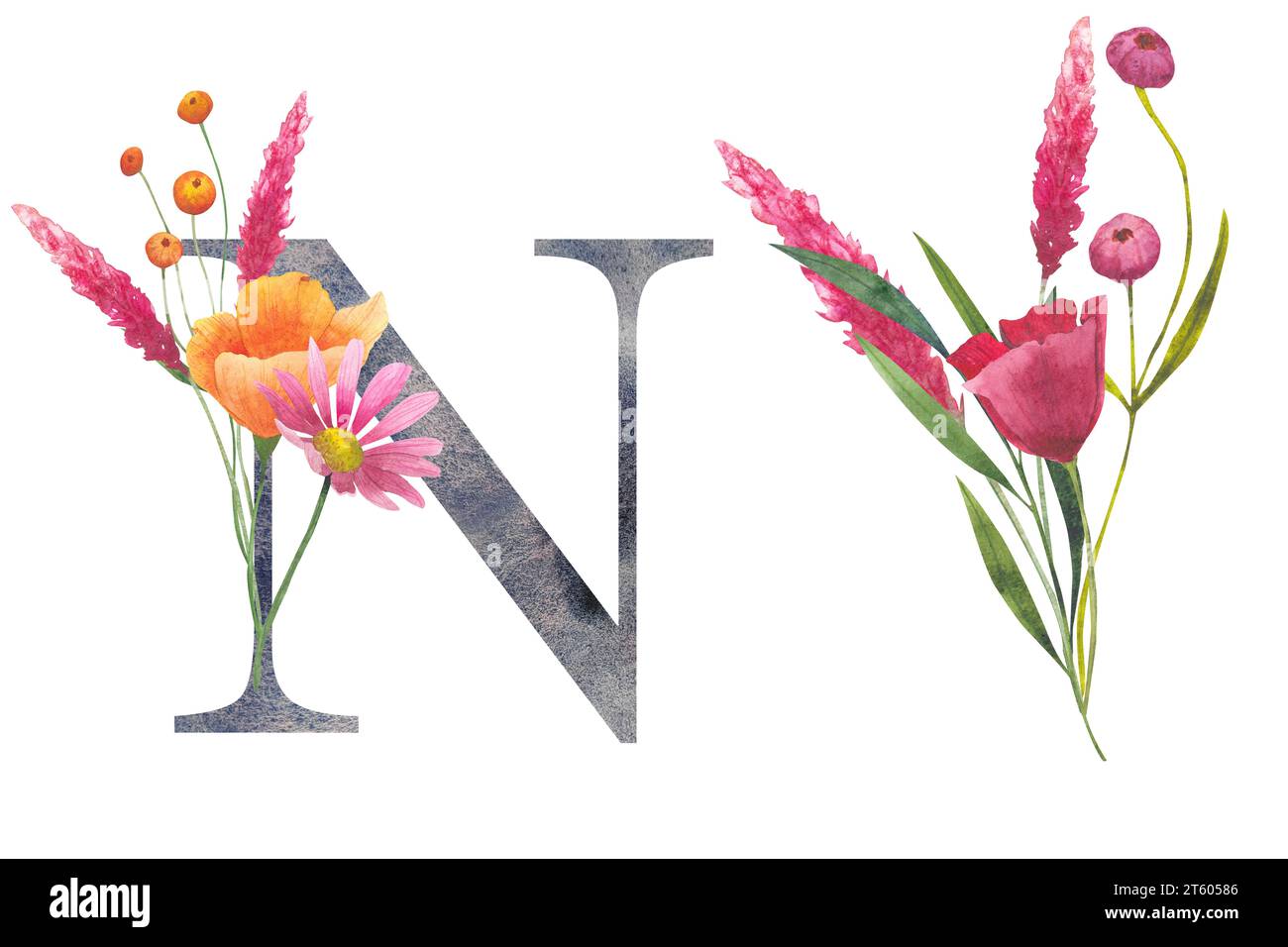 Letter n flowers hi-res stock photography and images - Alamy