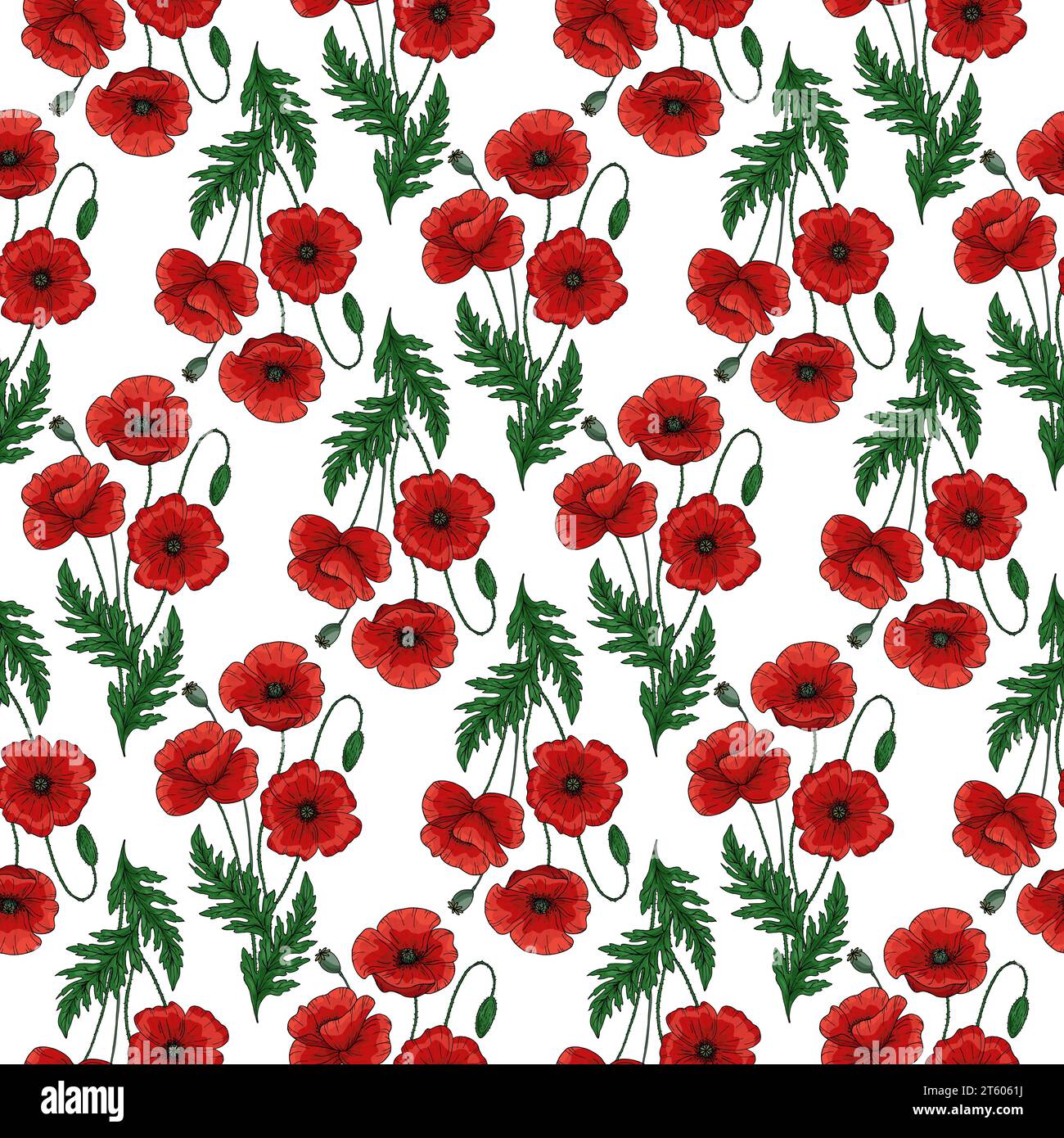 Seamless pattern with red poppy flowers and green leaves. Papaver ...