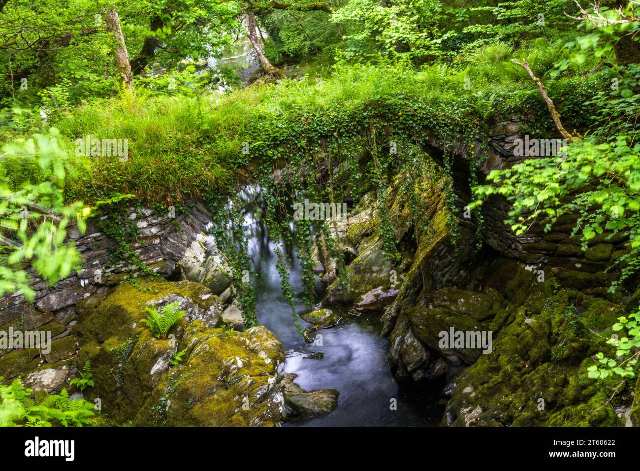 Roman Bridge, name for seventeenth century packhorse bridge, Penmachno ...