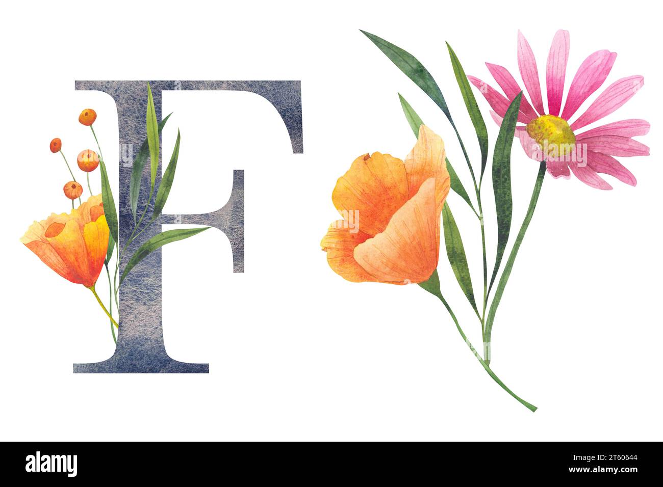 Letter F with watercolor wildflowers. Floral alphabet, set isolated ...