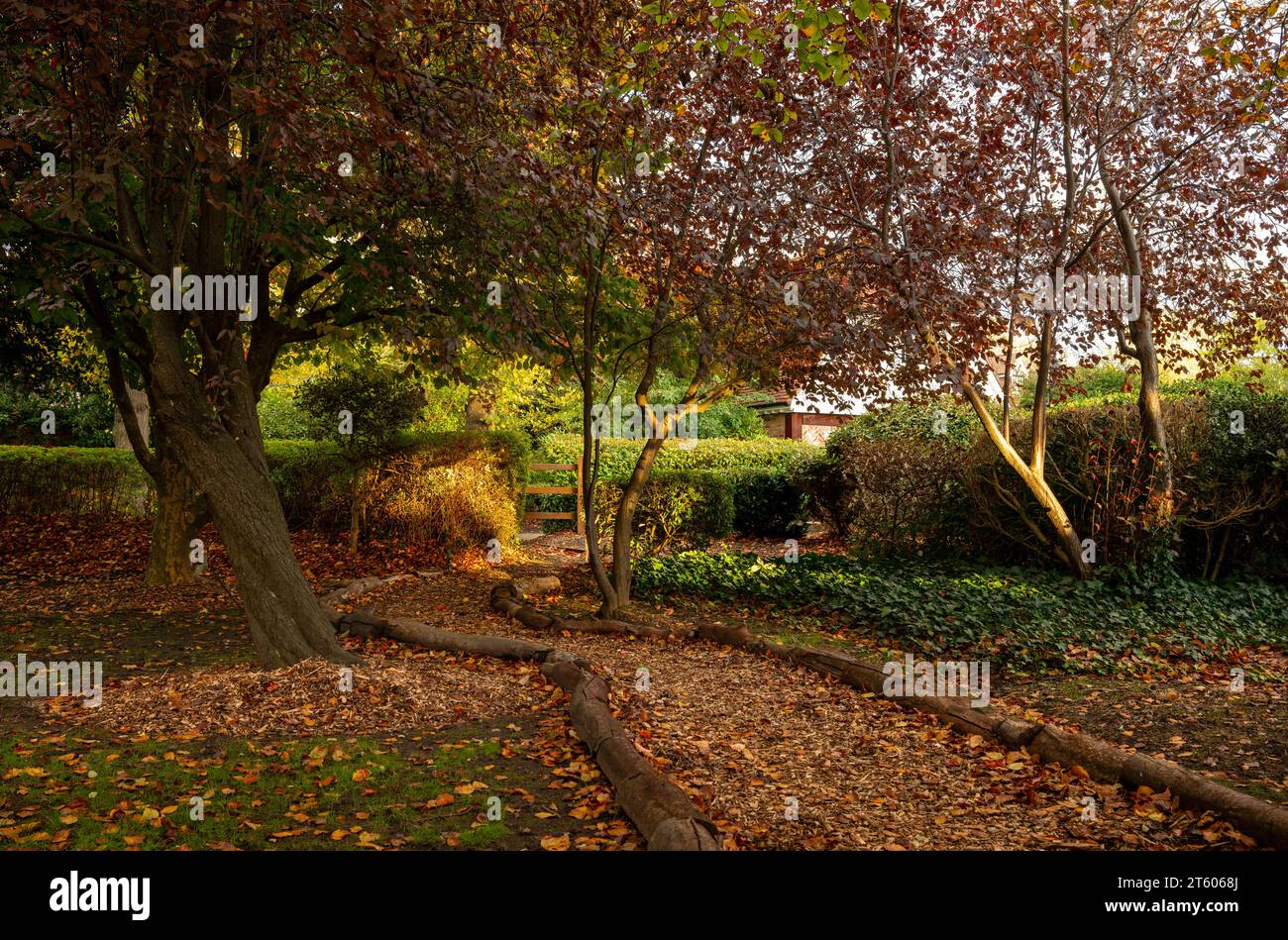 Fall scene in england hi-res stock photography and images - Alamy