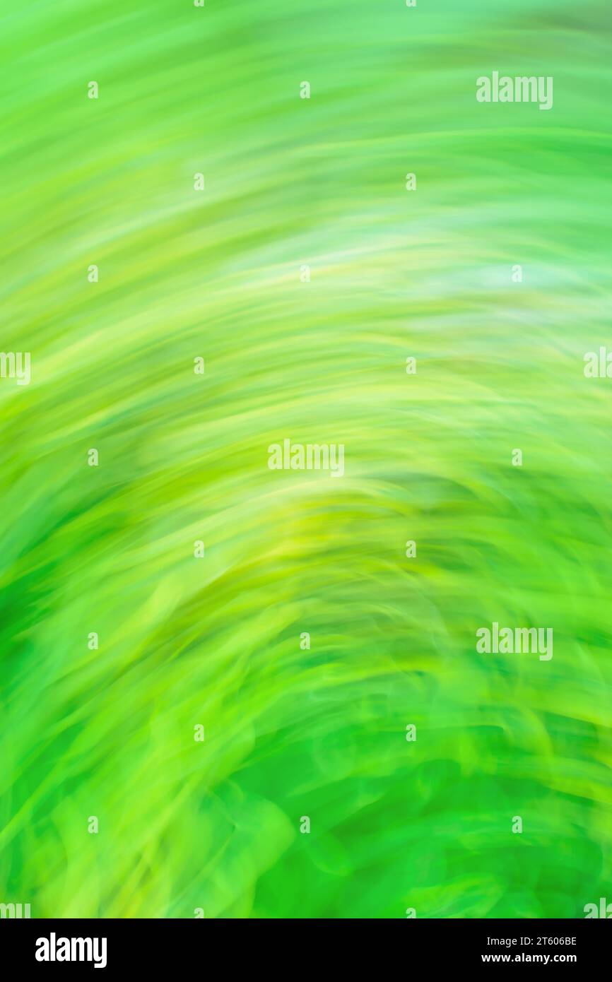 Green art blurred bokeh sparks flying background with motion effect ...