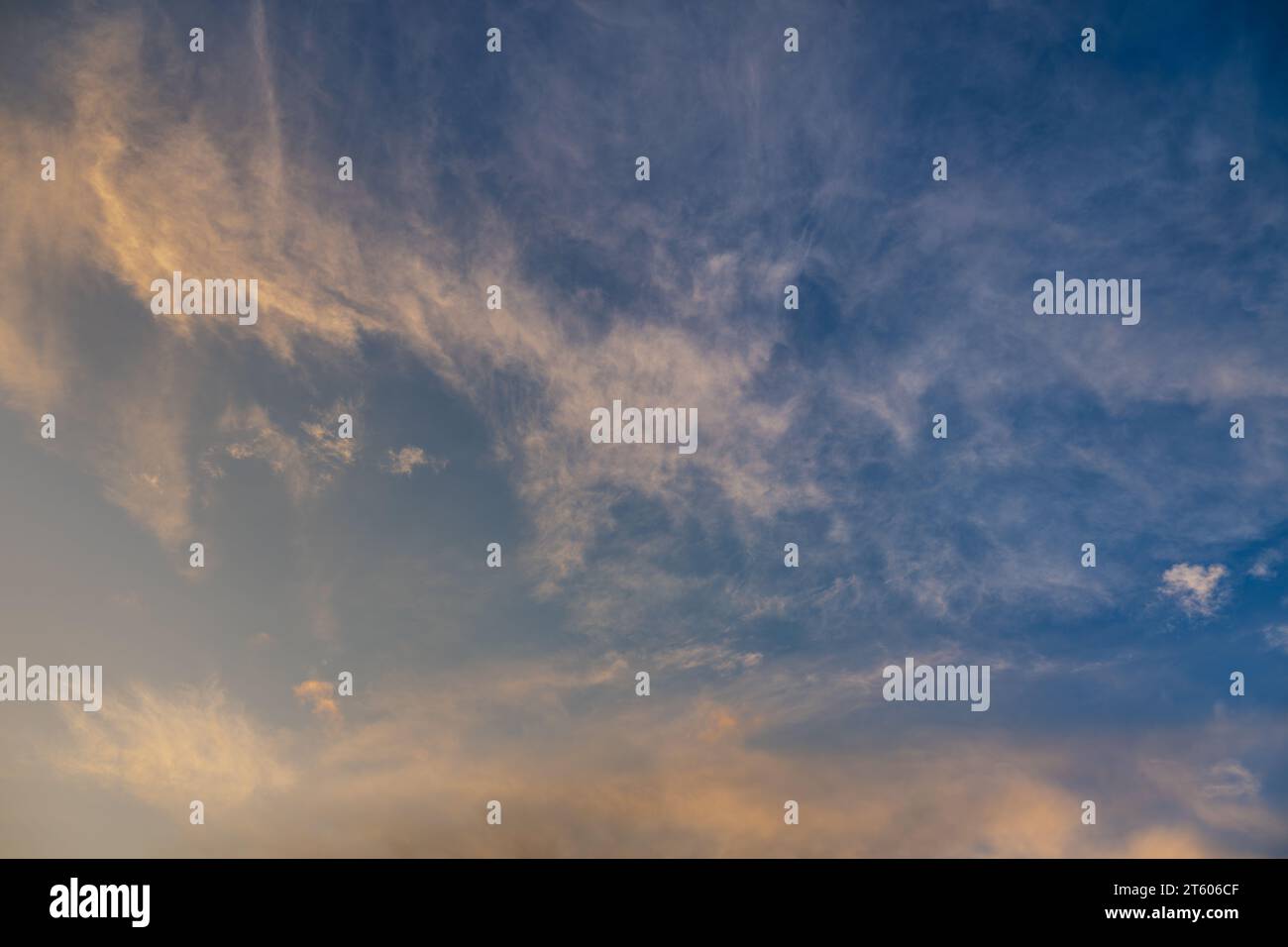 Evening cloudscape. White high-level cirrus clouds with yellow tint ...
