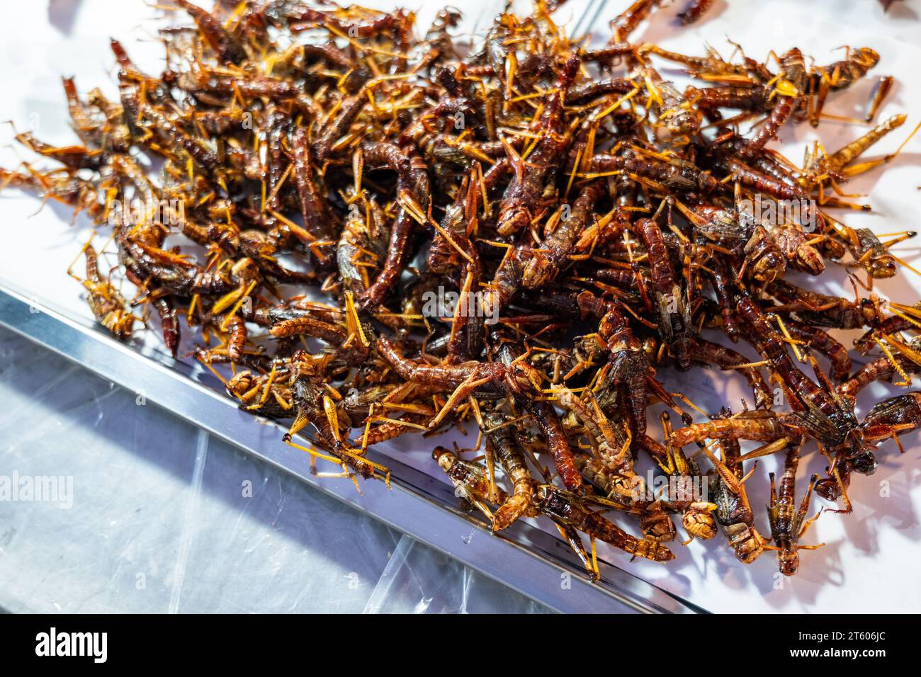 Fried crickets, edible insect and bugs at market in Thailand, close-up ...