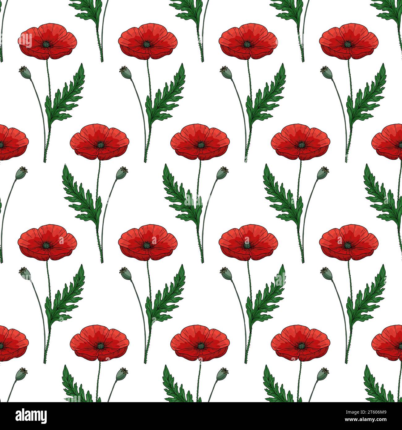 Seamless pattern with red poppy flowers and green leaves. Papaver ...