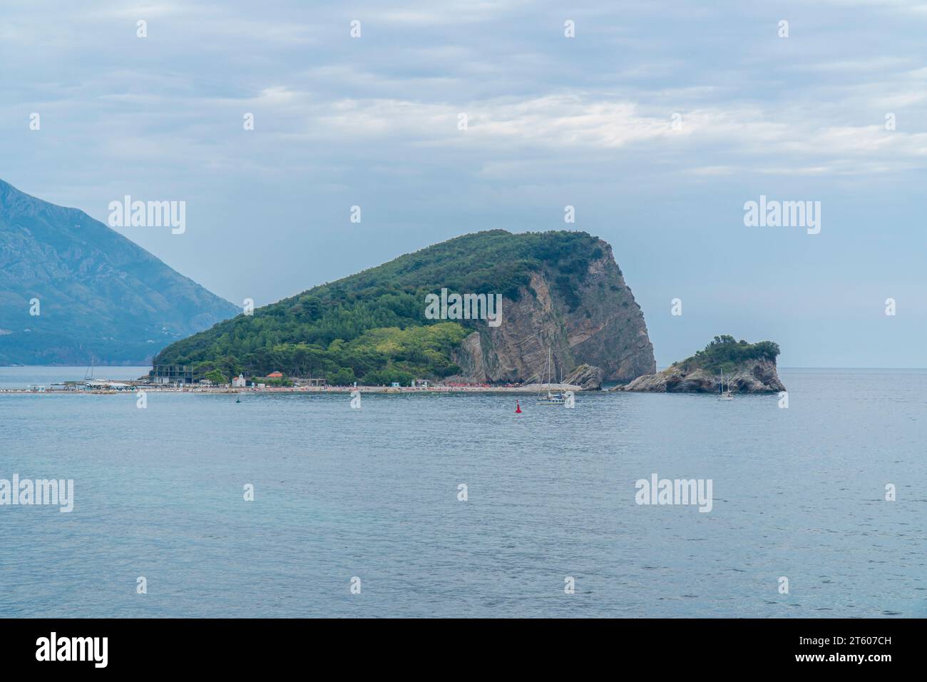 Island looks like turtle. Island of St. Nicholas located Budva ...