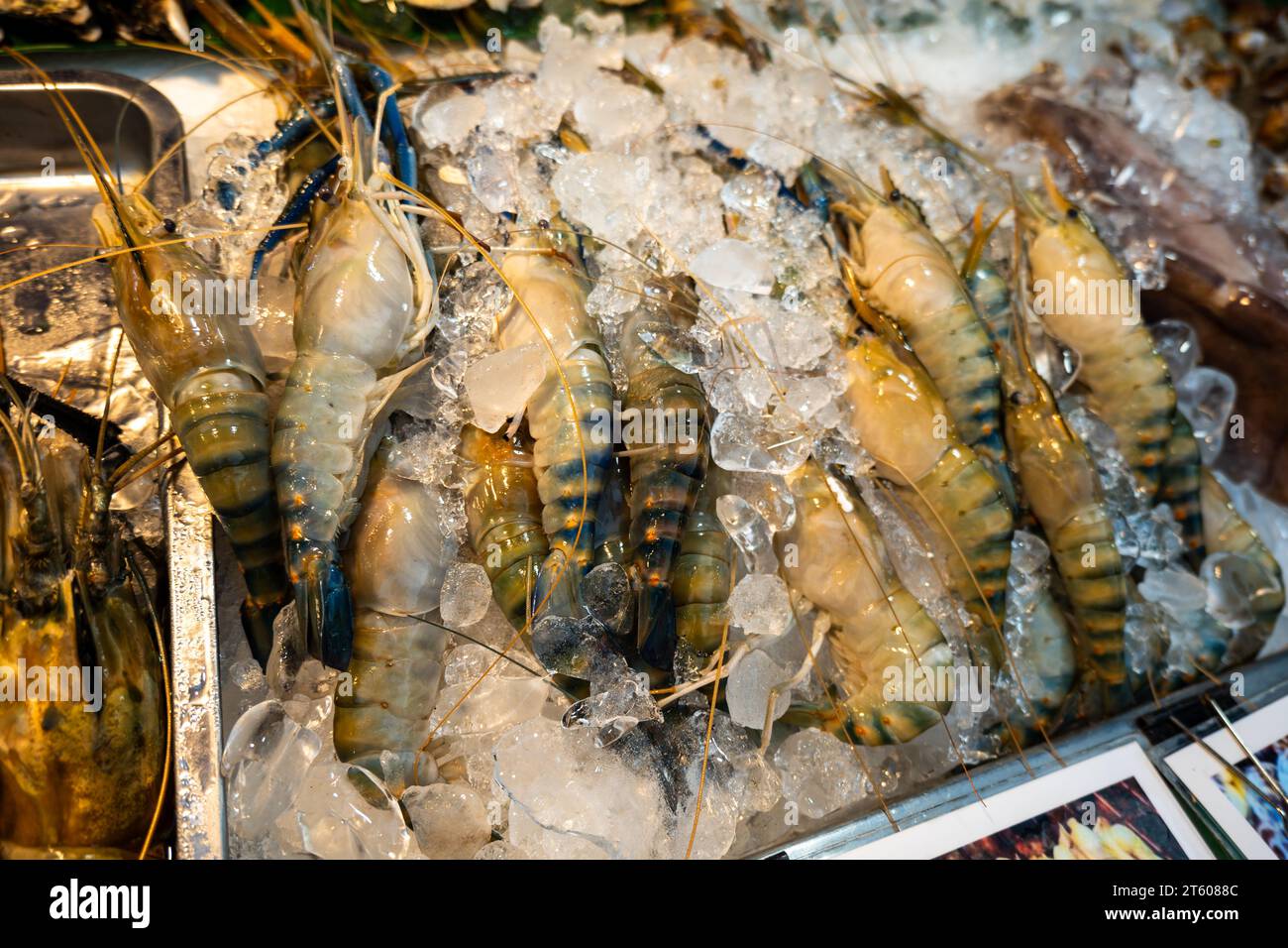 Fresh raw prawn, premium grade, on display at seafood market in Bangkok ...