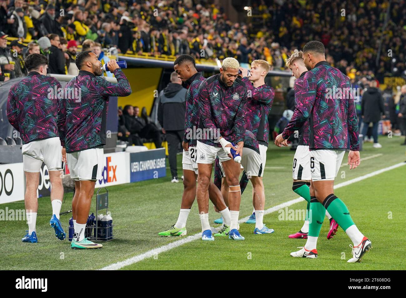 Dortmund, Germany. 07th Nov, 2023. Newcastle players warm up during the ...