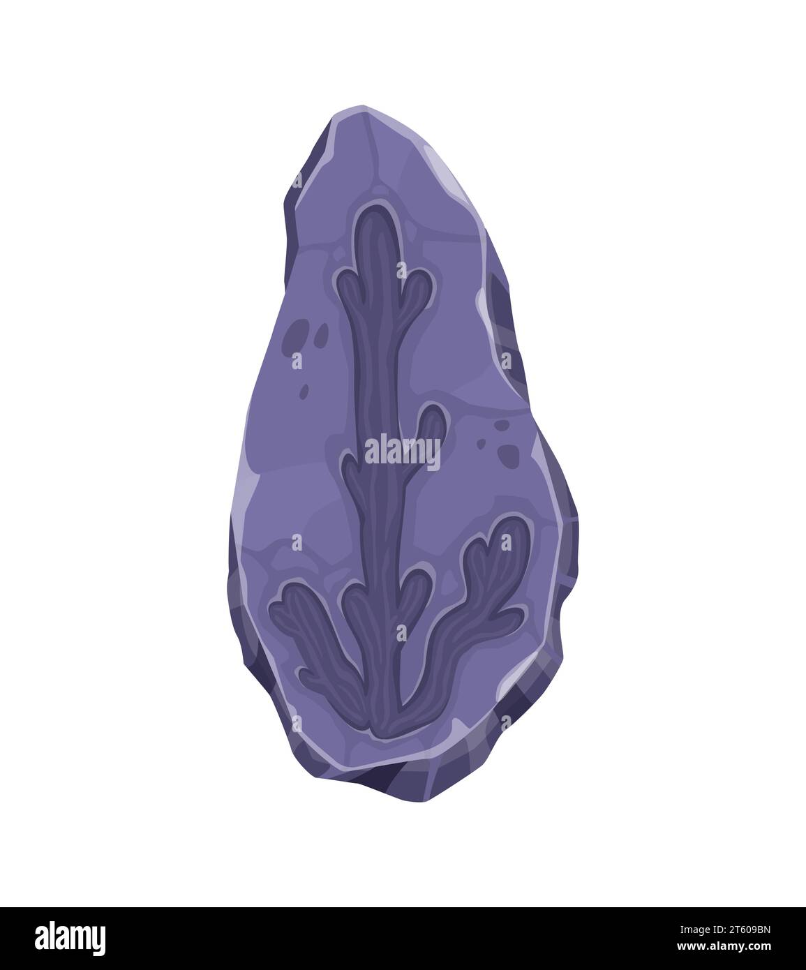 Ancient fossil, plant imprint in stone. Prehistoric aquatic plant piece ...