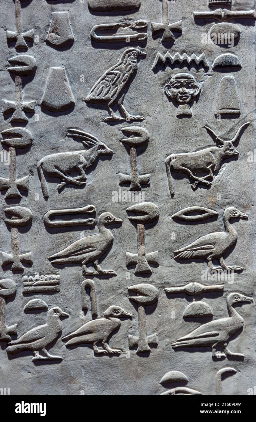 Drawings, images and hieroglyphic texts on ancient Egyptian walls Stock ...