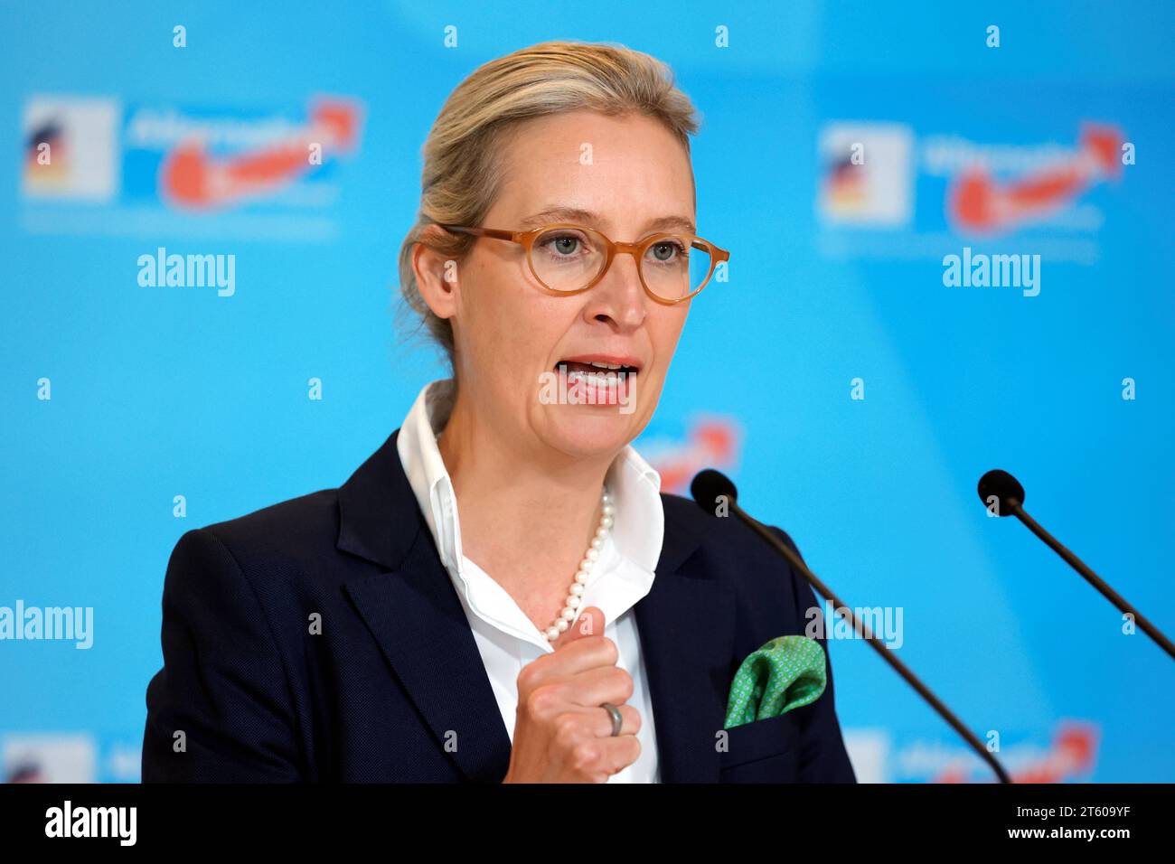 Alice Weidel, Fraktionsvorsitzende der AfD-Bundestagsfraktion ...