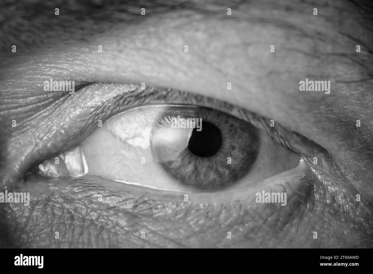 Human male eye closeup on macro photos Stock Photo - Alamy