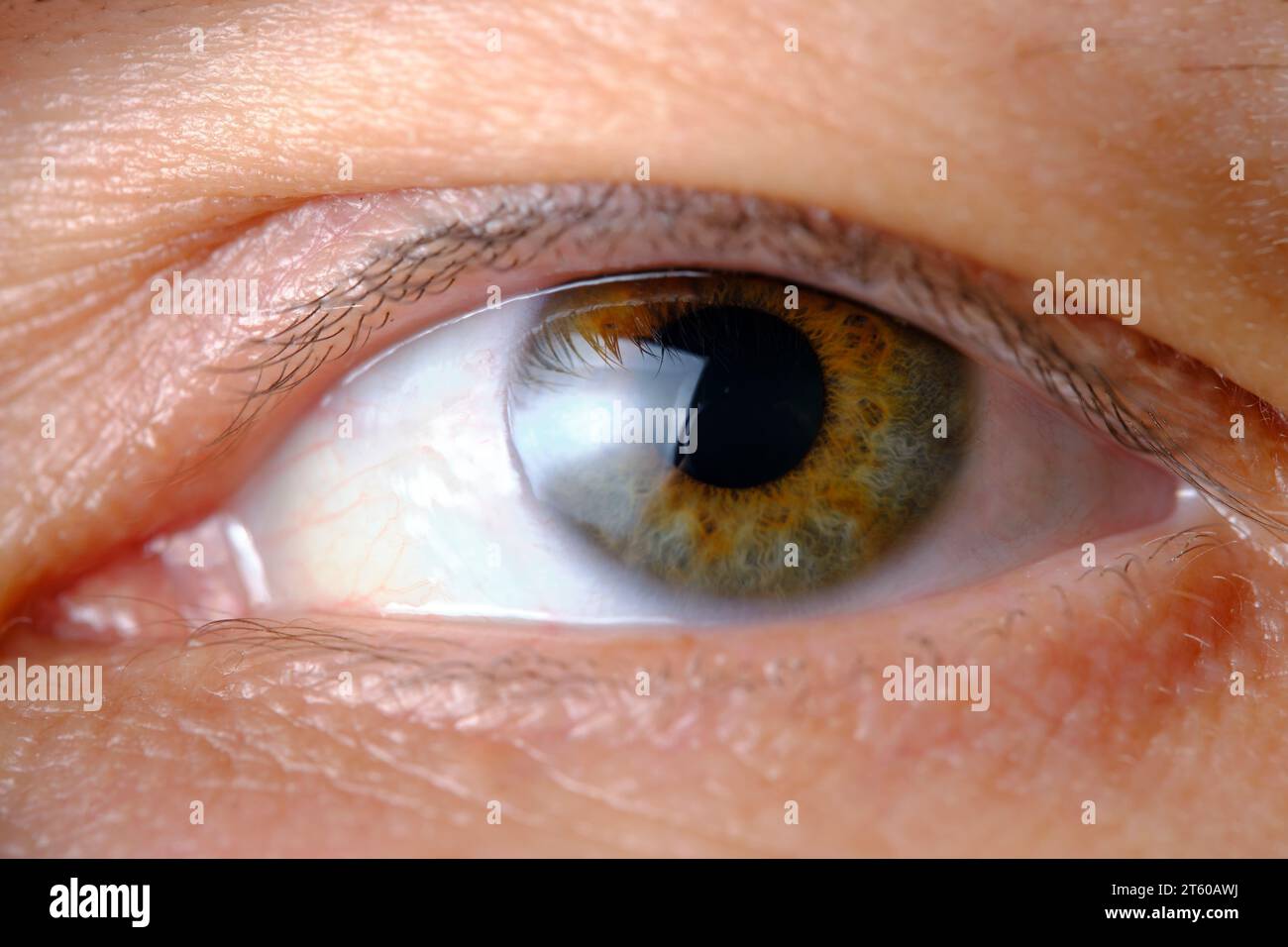 Human male eye closeup on macro photos Stock Photo - Alamy