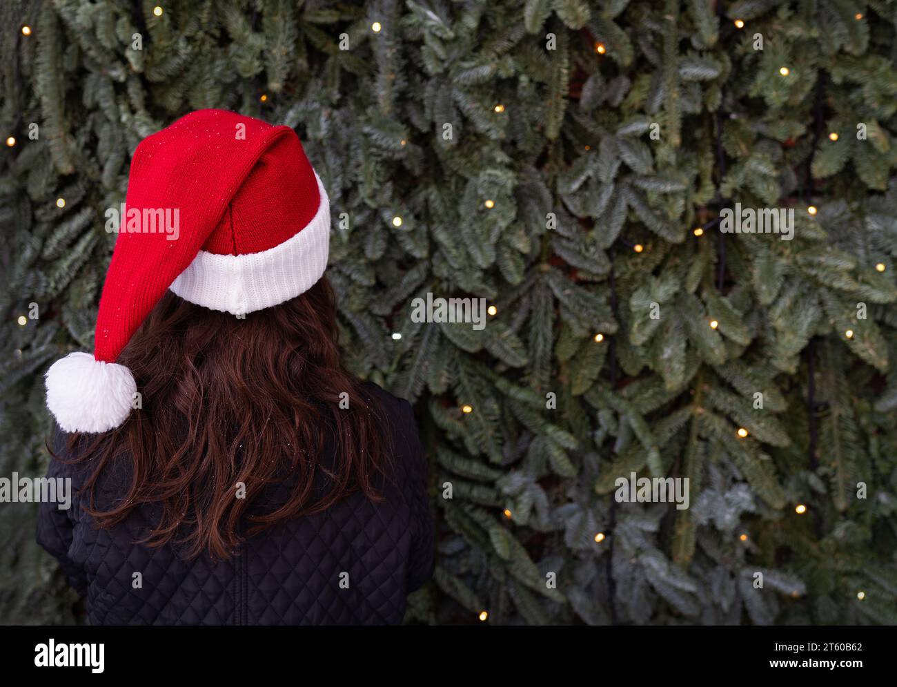 A beautiful young woman in a Santa hat stands with her back, standing ...