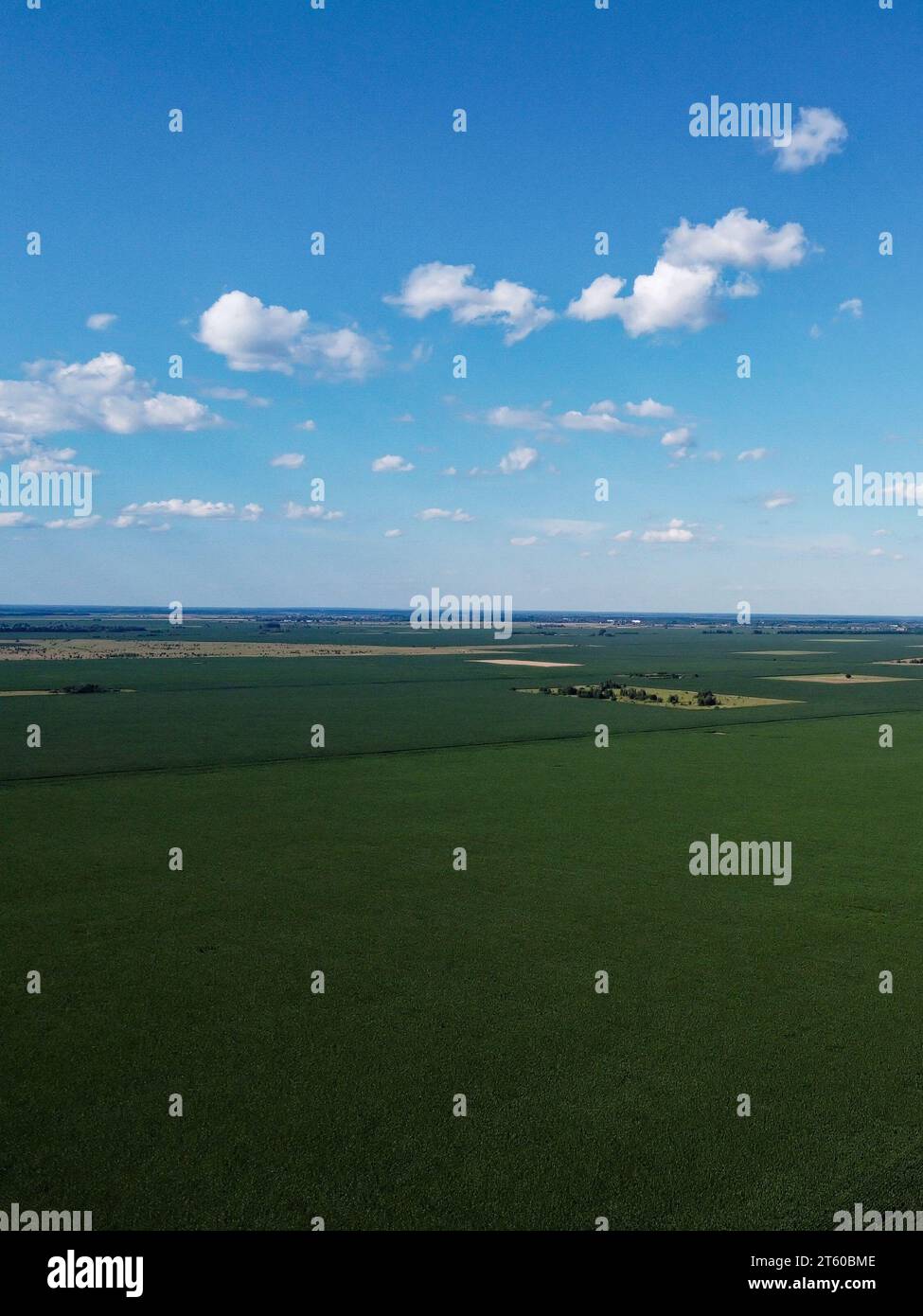 Beautiful agricultural landscape, open field with blue sky and white ...
