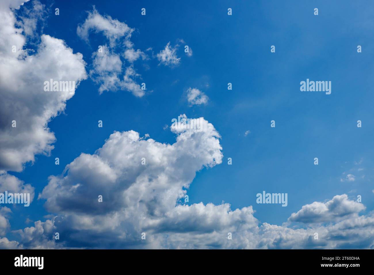 Nature's tranquility is on full display as the sky dons a calming blue ...