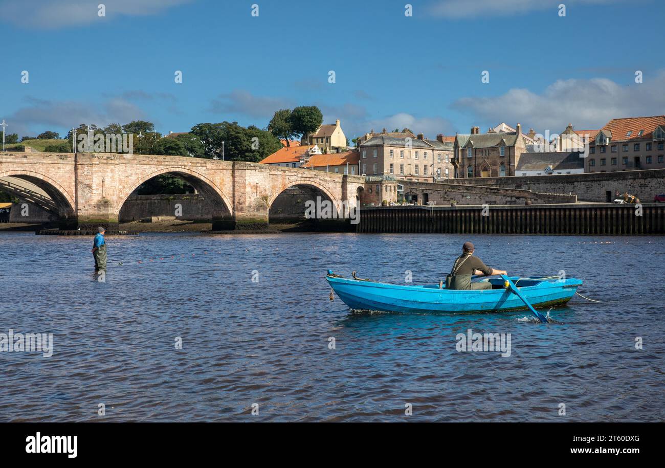 Salmon fishing at Gardo fishery on the RIver Tweed below the Old Bridge ...