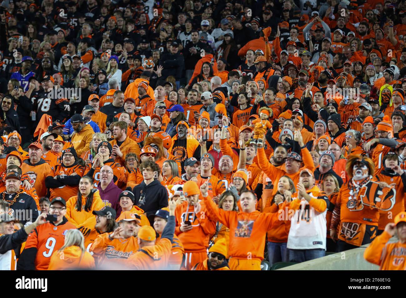 Cincinnati Bengal fans cheer during an NFL football game against the ...