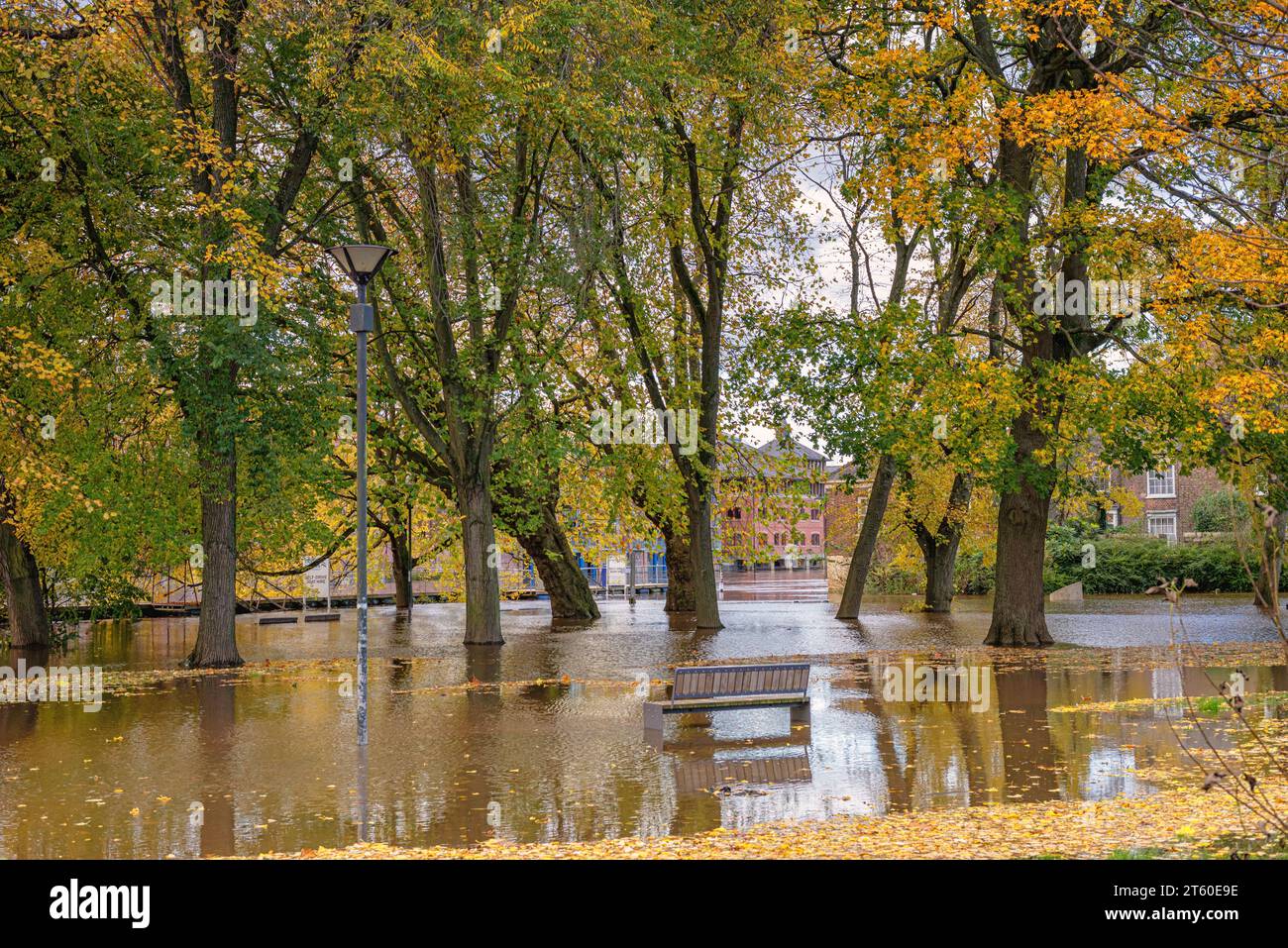 A river has burst its banks and flooded across a park. Autumnal trees ...
