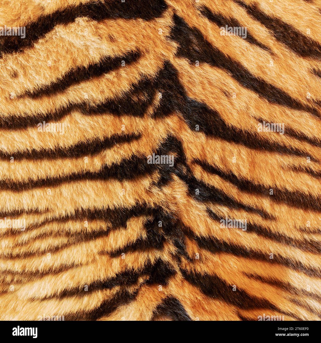 black stripes on tiger pelt, natural background for your design Stock ...