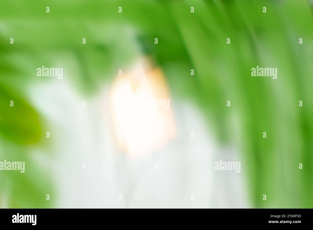 Beautiful sunset tropical beach with palm tree blurred natural background with boke. Blur ...