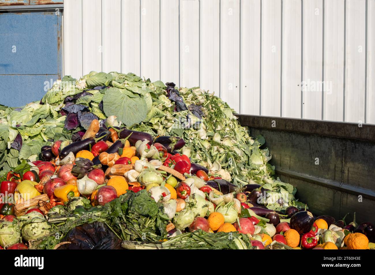 Expired Organic bio waste. Mix Vegetables and fruits in a huge ...