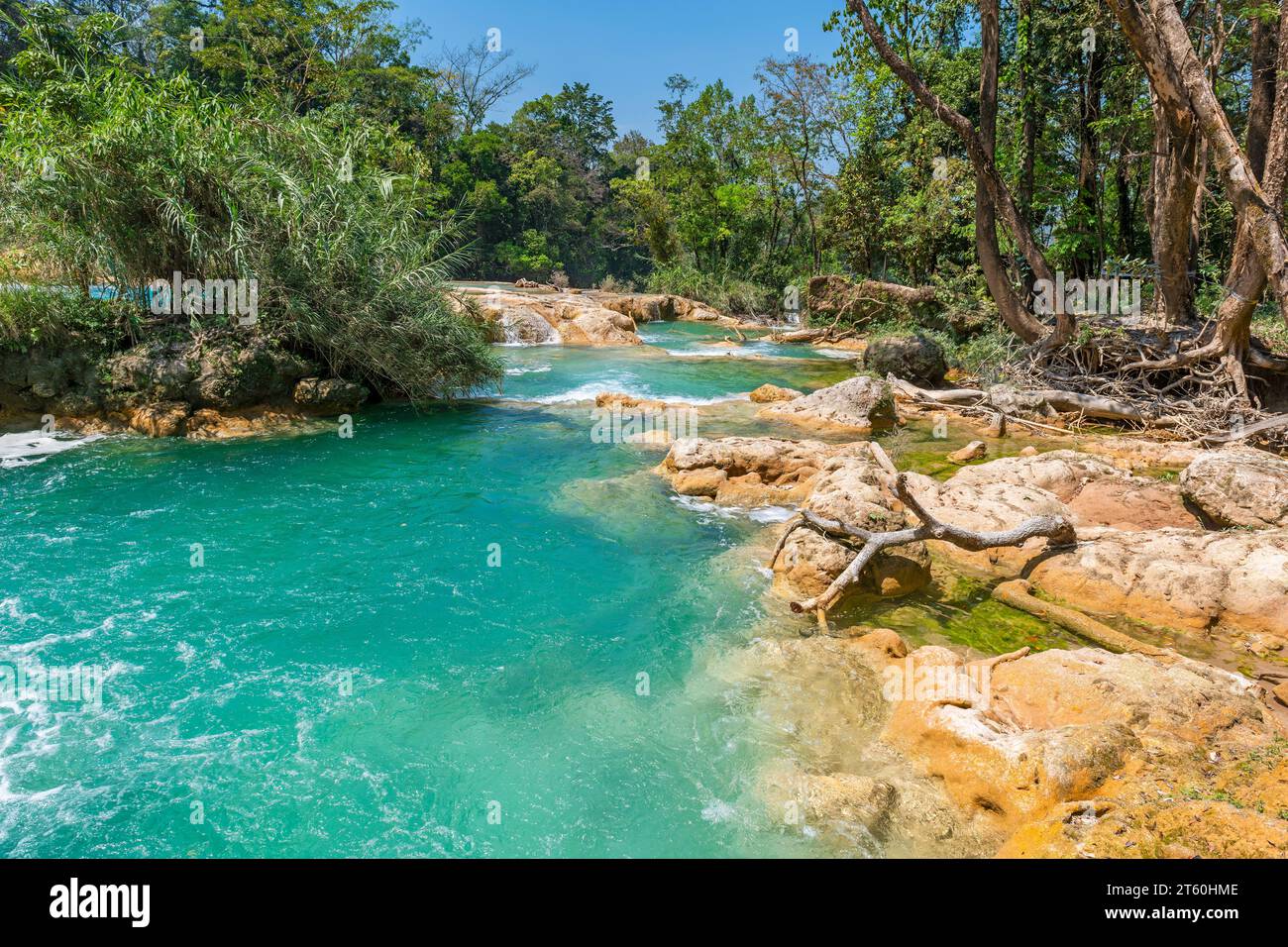 Agua Azul cascades with turquoise waters and tropical rainforest ...