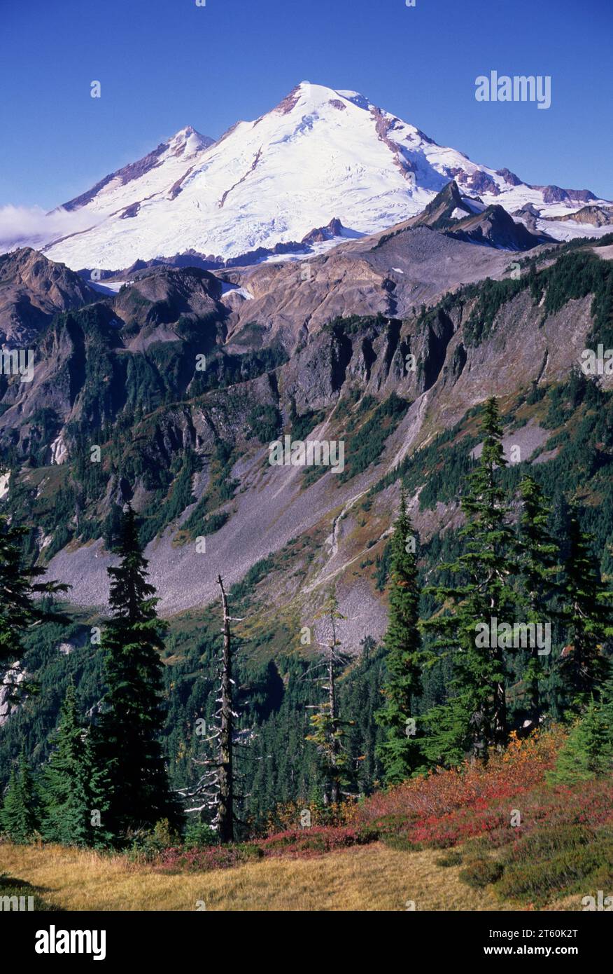 Mt Baker from Artist Point Trail, Mt Baker Scenic Byway, Mt Baker ...
