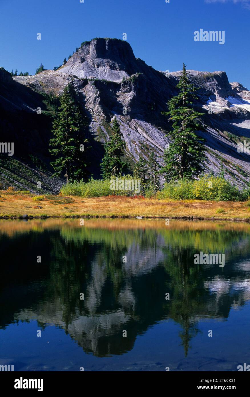 Table Mountain from Fire & Ice Trailhead, Mt Baker Scenic Byway, Mt ...