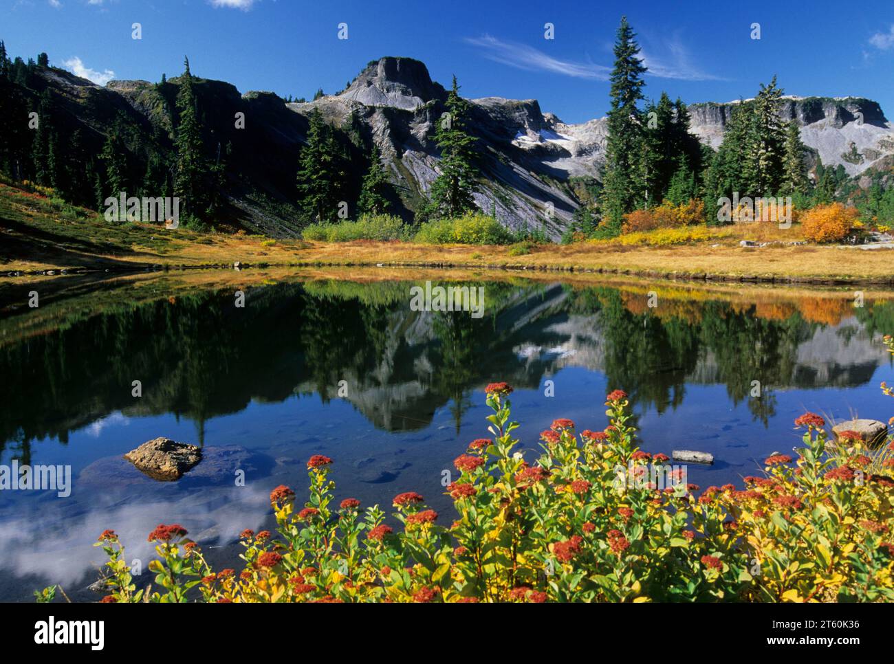 Table Mountain from Fire & Ice Trailhead, Mt Baker Scenic Byway, Mt ...