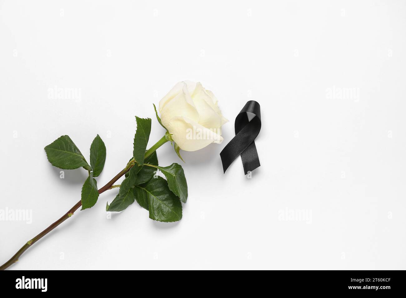 Black mourning ribbon and rose on white background Stock Photo - Alamy