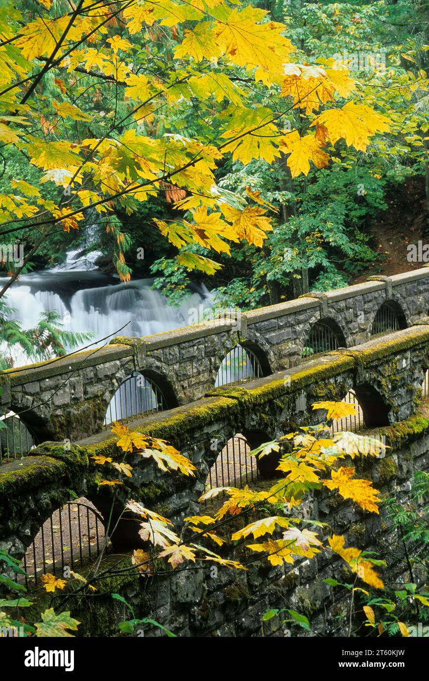 Works Progress Administration(WPA) hiker bridge, Whatcom Falls Park ...