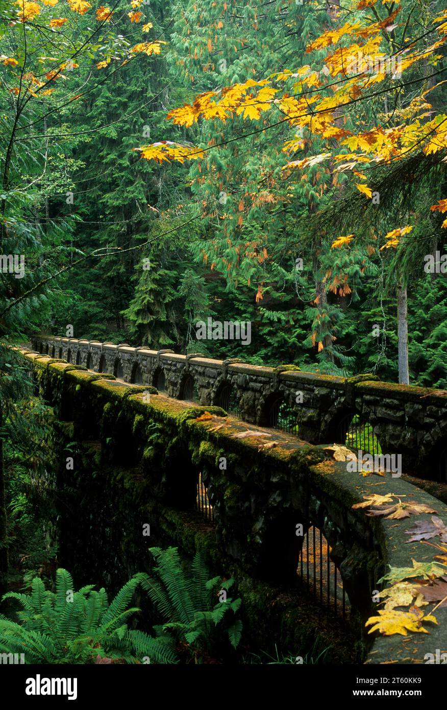 Works Progress Administration(WPA) hiker bridge, Whatcom Falls Park ...