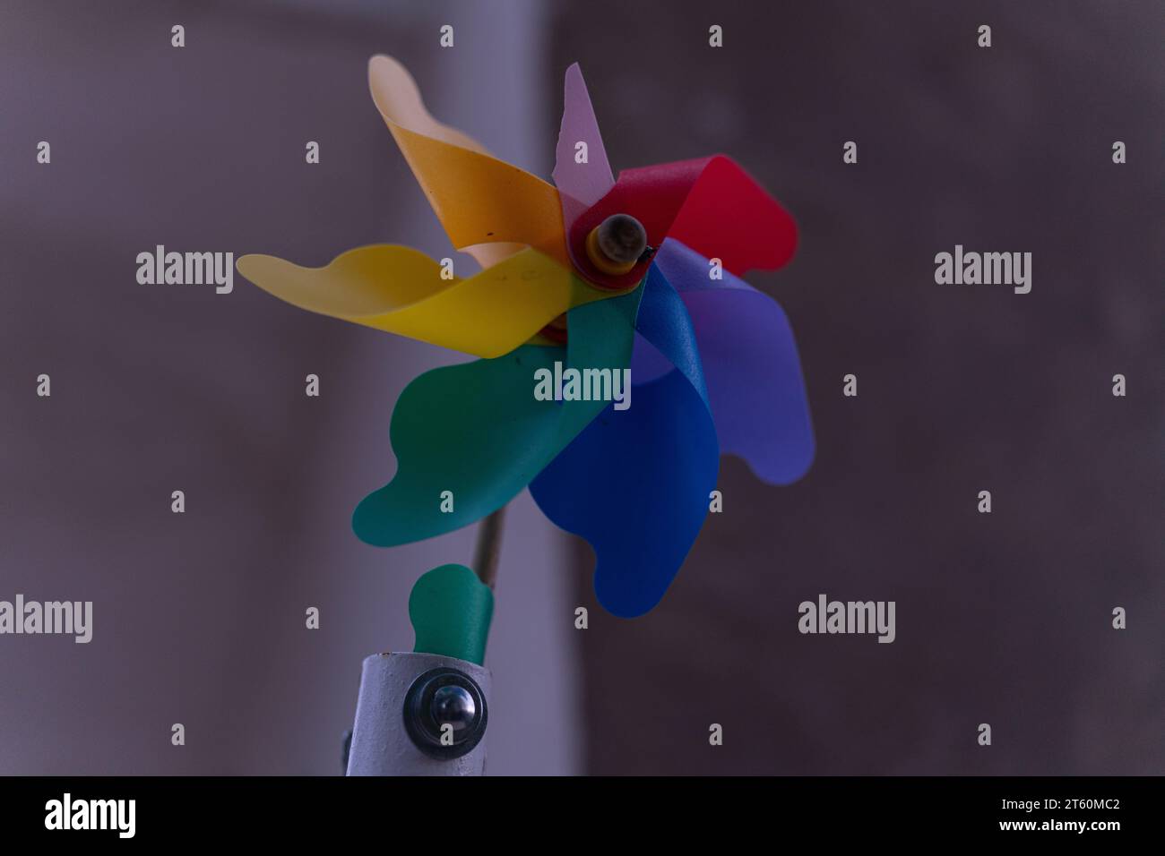 Lgbtq colors hi-res stock photography and images - Alamy