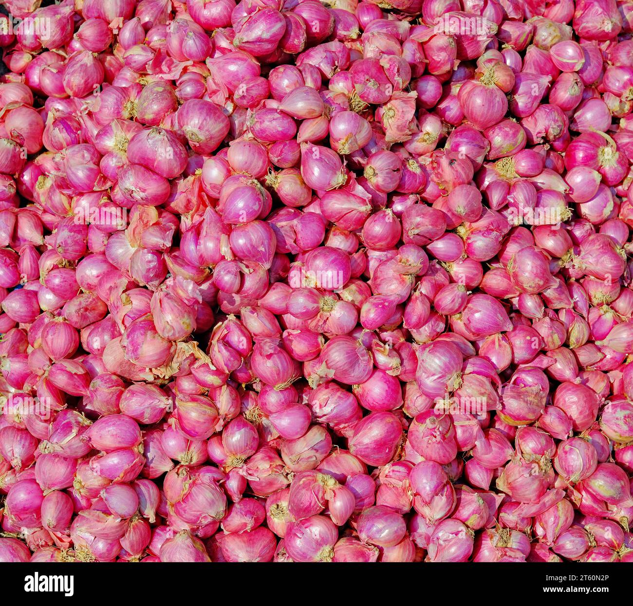 Small onion hi-res stock photography and images - Alamy