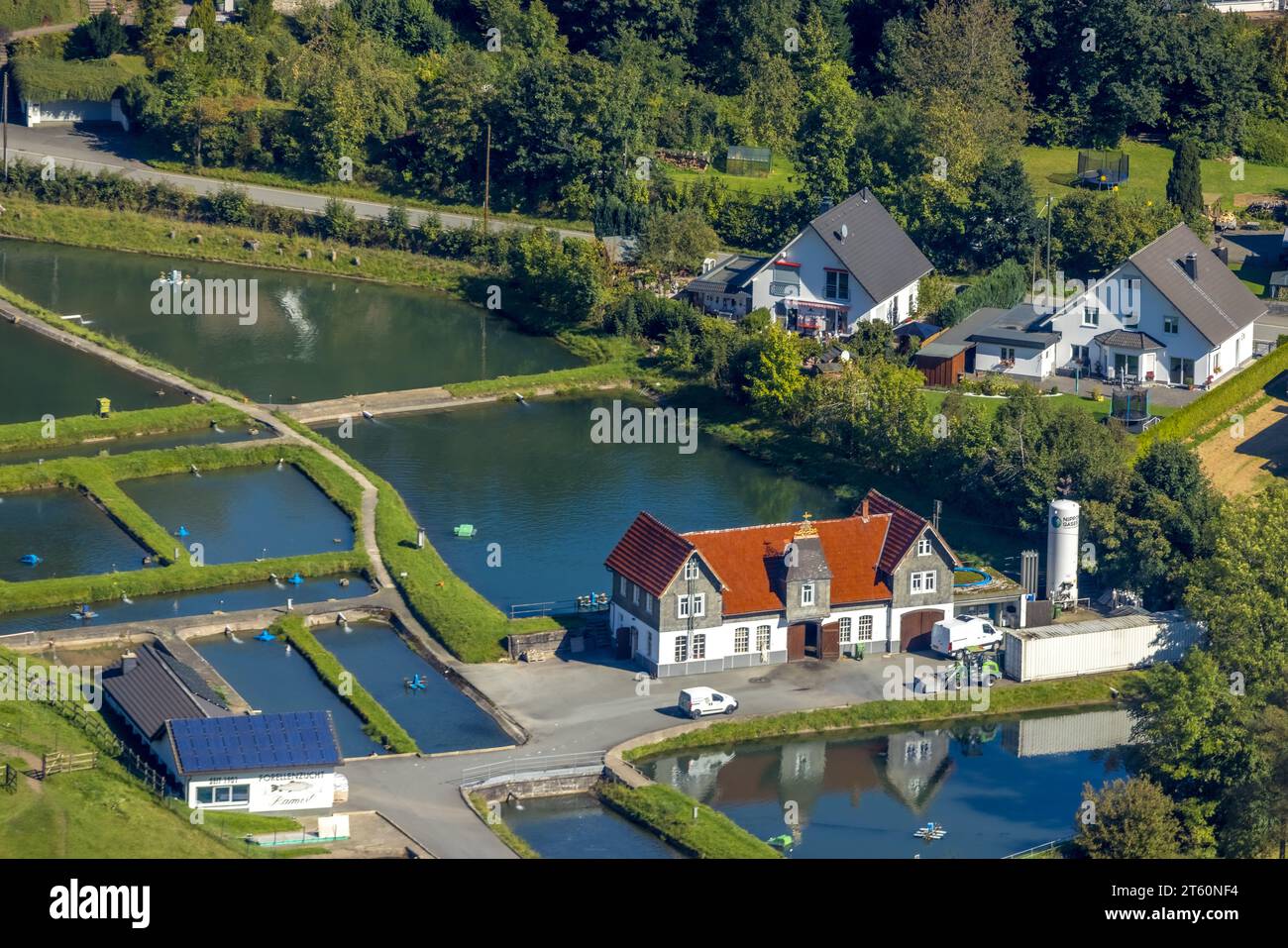 Sauerland trout farm thomas rameil hi-res stock photography and images ...