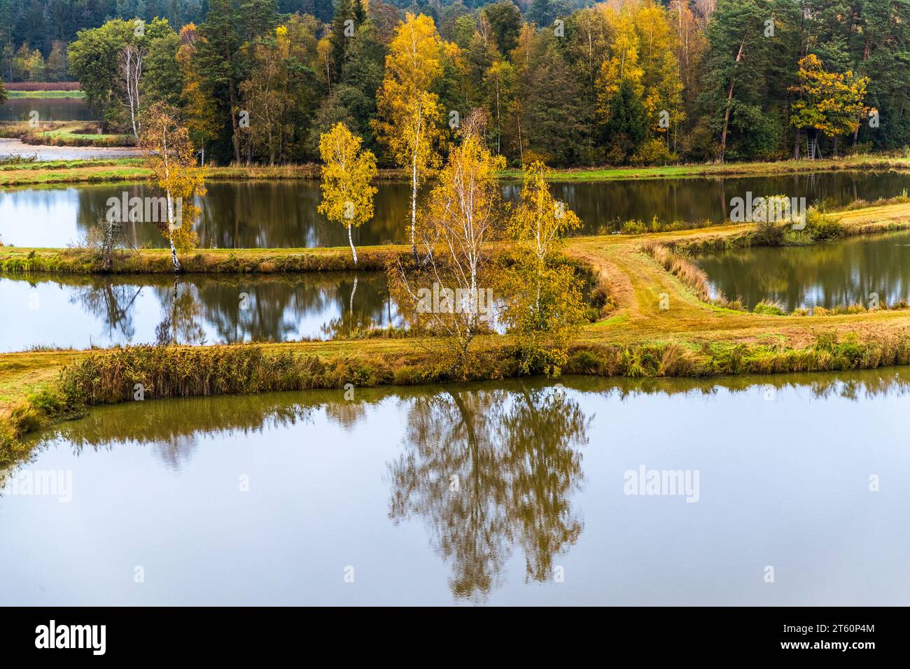 Ponds for fish farming, Tirschenreuth pond pan and Waldnaabaue nature ...