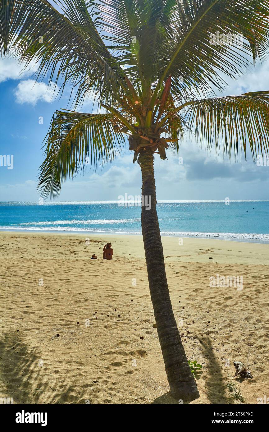 Person sitting on sandy beach hi-res stock photography and images - Alamy