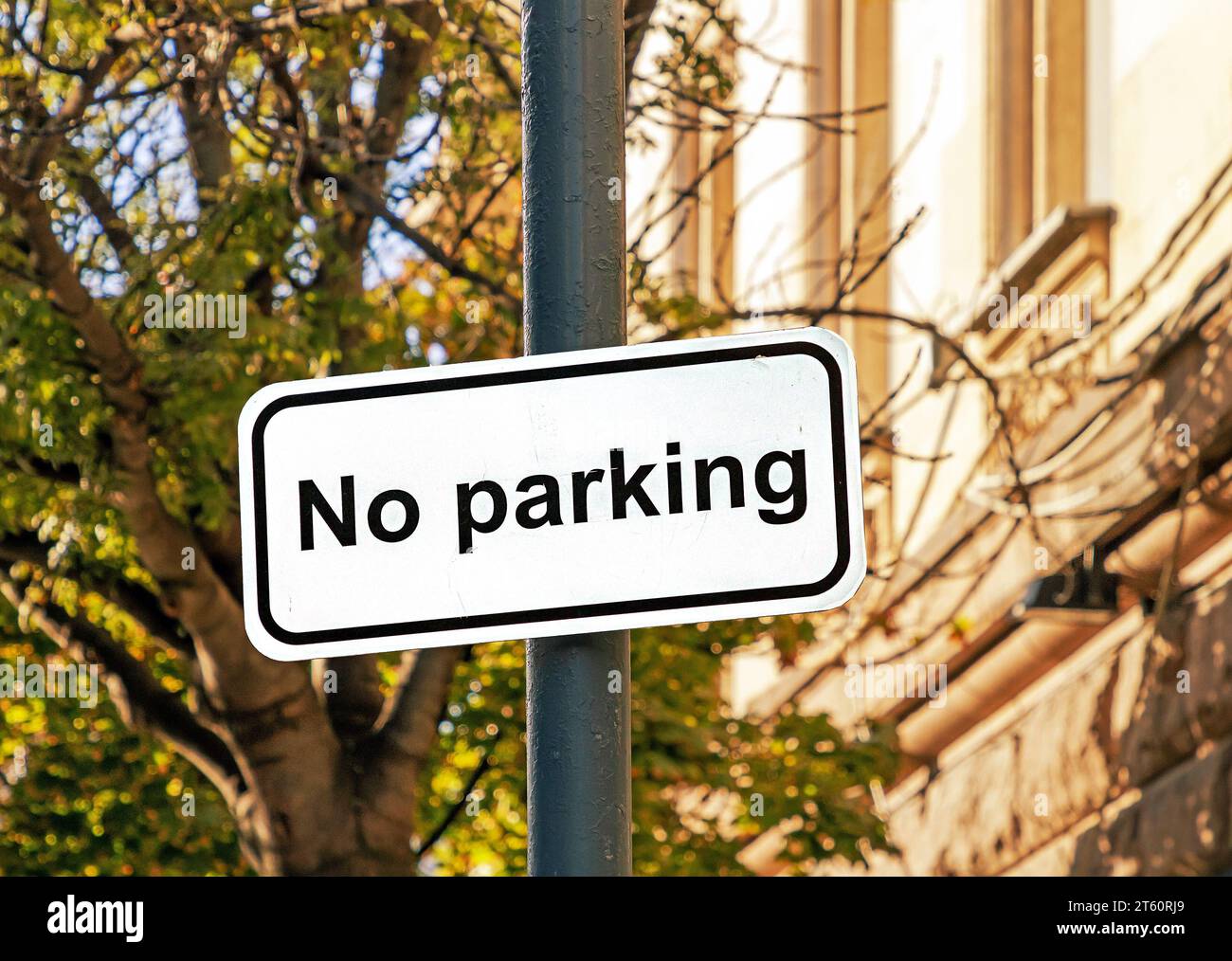 Large no parking traffic sign outside on urban street with trees in the ...