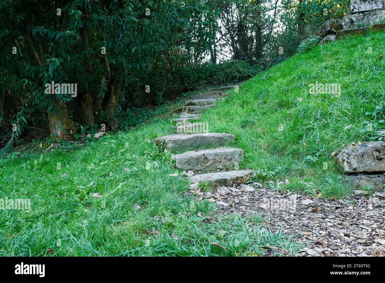 A high-angle shot of a winding stone staircase leading up to a lush ...