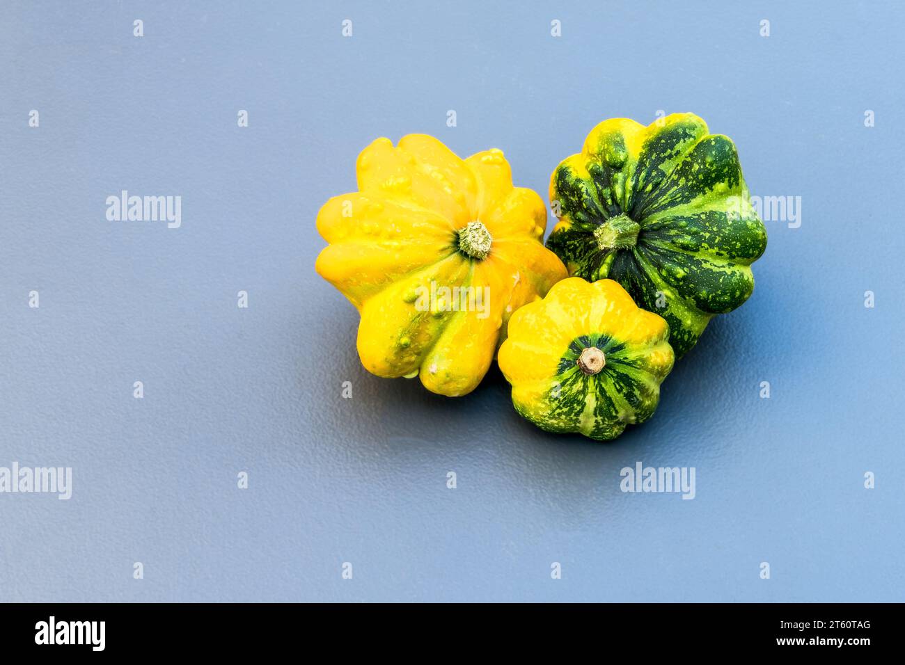Three squash fruits with yellow and green colot mixture on a grey table ...