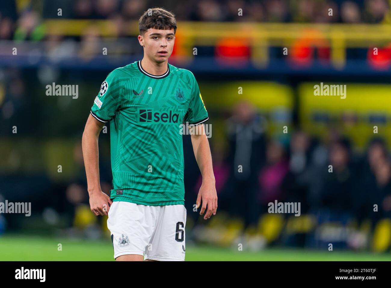 Dortmund, Germany. 07th Nov, 2023. DORTMUND, GERMANY - NOVEMBER 7 ...