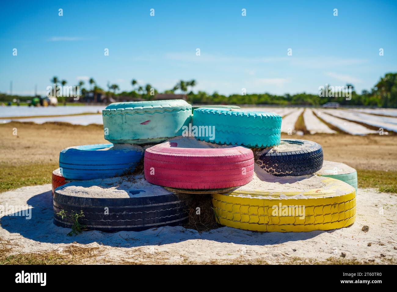 Colorful painted tires on a playground sand pit in a park Stock Photo ...