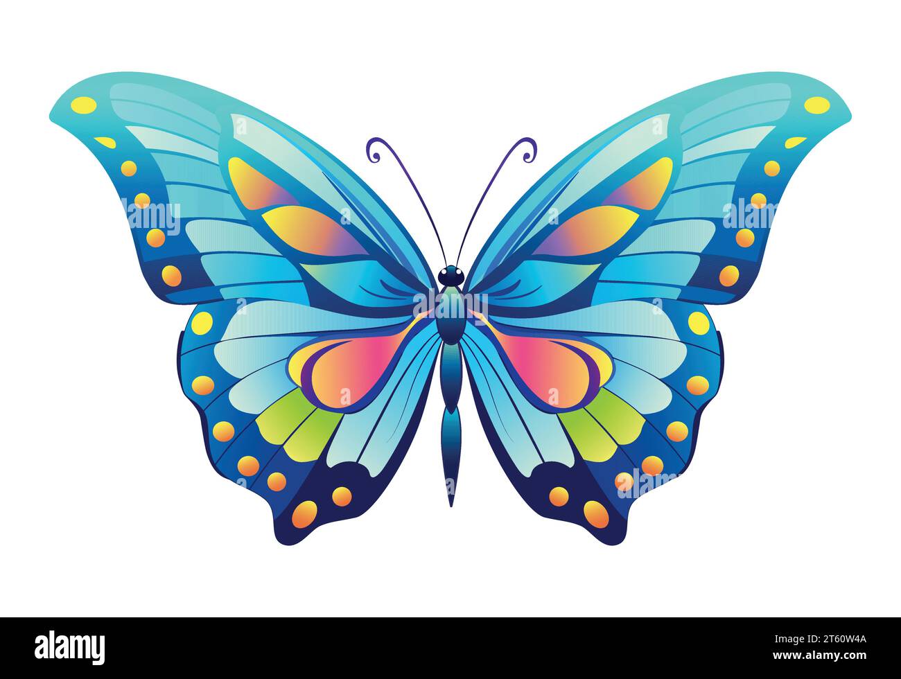 butterfly. Hand drawn vector illustration Stock Vector Image & Art - Alamy