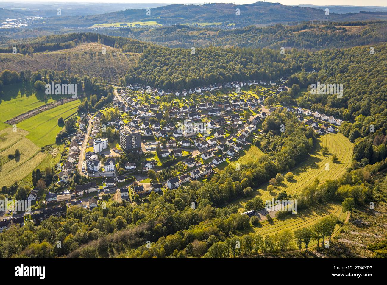 Forest settlement with high rise building hi-res stock photography and ...
