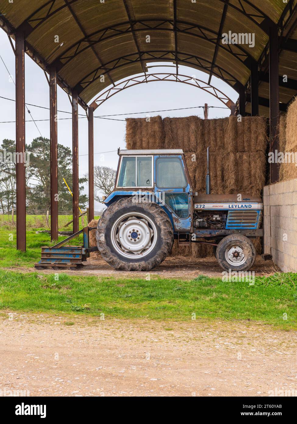 A old vintage leyland 272 tractor in blue, pictured in a open barn ...