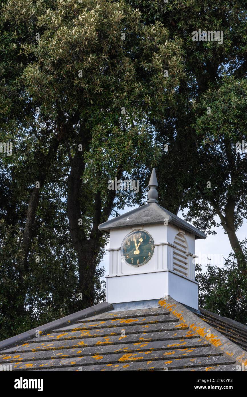 A roof showing a small clock tower against the backdrop of a tree Stock ...