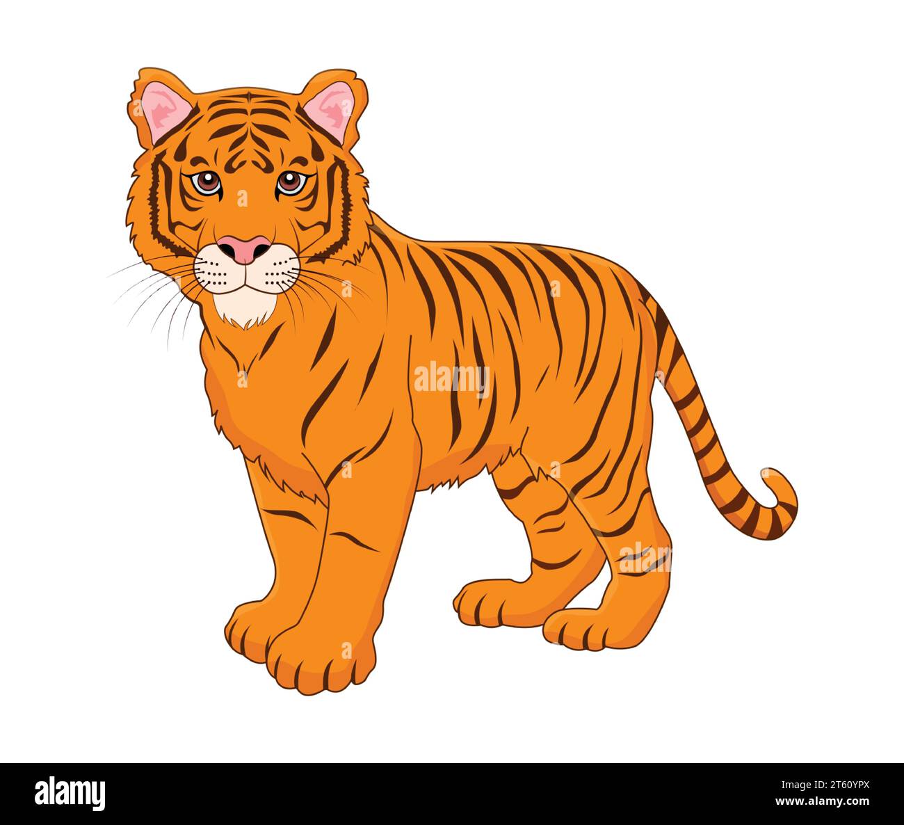 Cartoon tiger isolated on white background. Vector illustration Stock ...