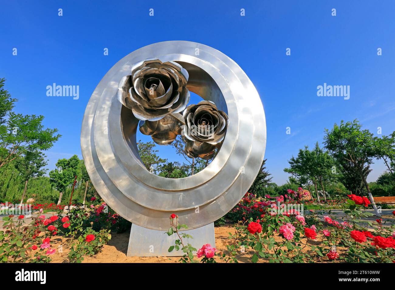 Stainless steel rose sculpture Stock Photo - Alamy