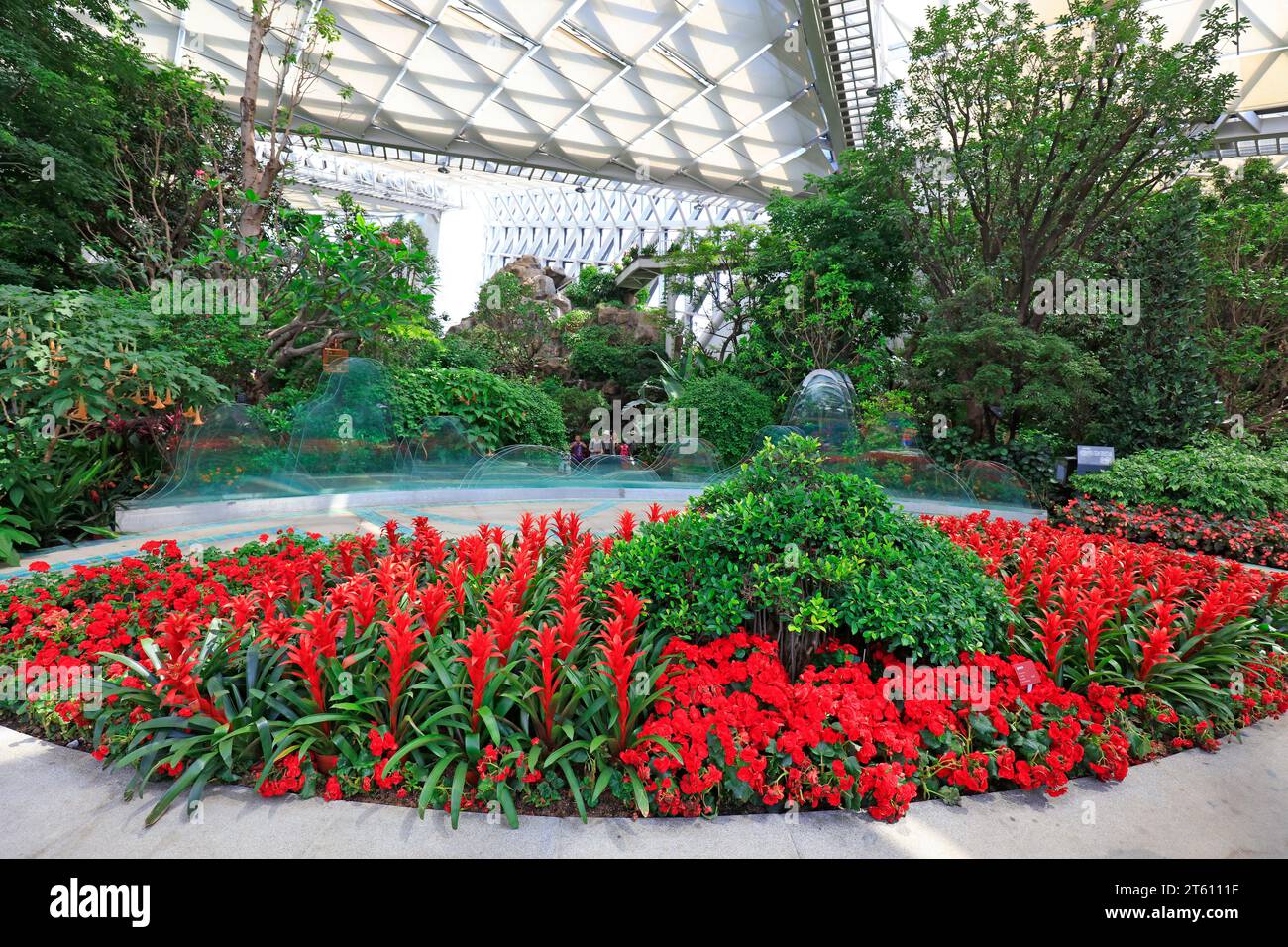 The pineapple family hi-res stock photography and images - Alamy